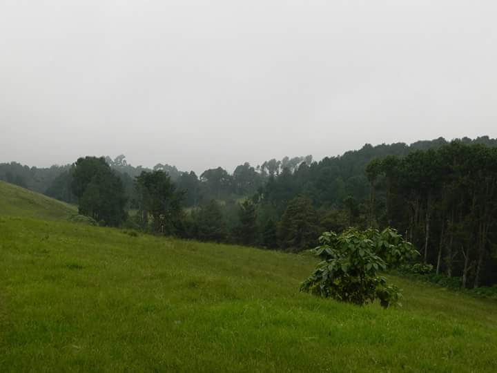 Rwanda's Kibira National Park - Our Travel & Tour