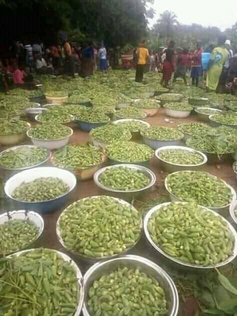 Exploring Awgu: Things to know About Awgu Local Government Area - Our ...