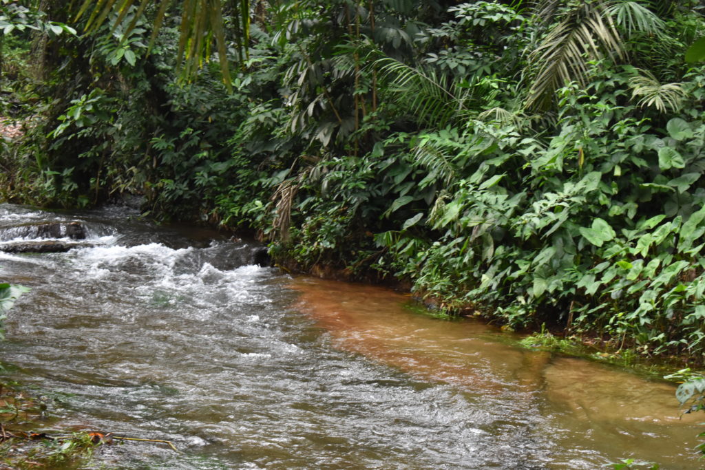 The Movement: A Trip to Ezeagu Cave and Waterfall - Our Travel & Tour