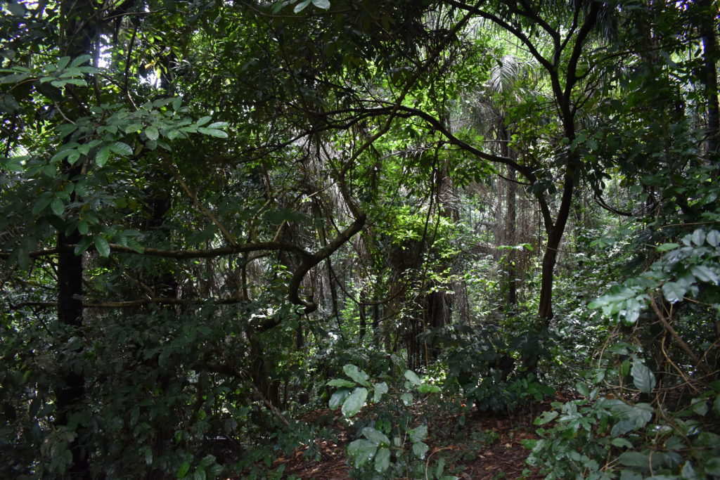 Heading to inyi achi, ezioha mmaku (5) - Ou Travel and Tour