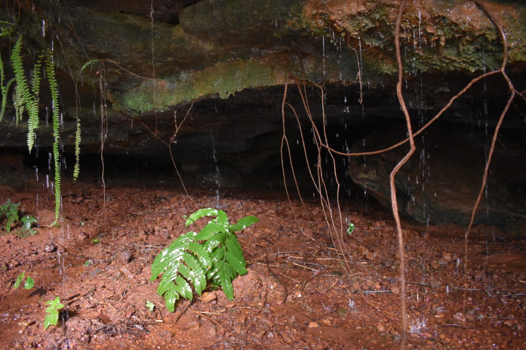 Ogbe nwaude (1) - Ou Travel and Tour