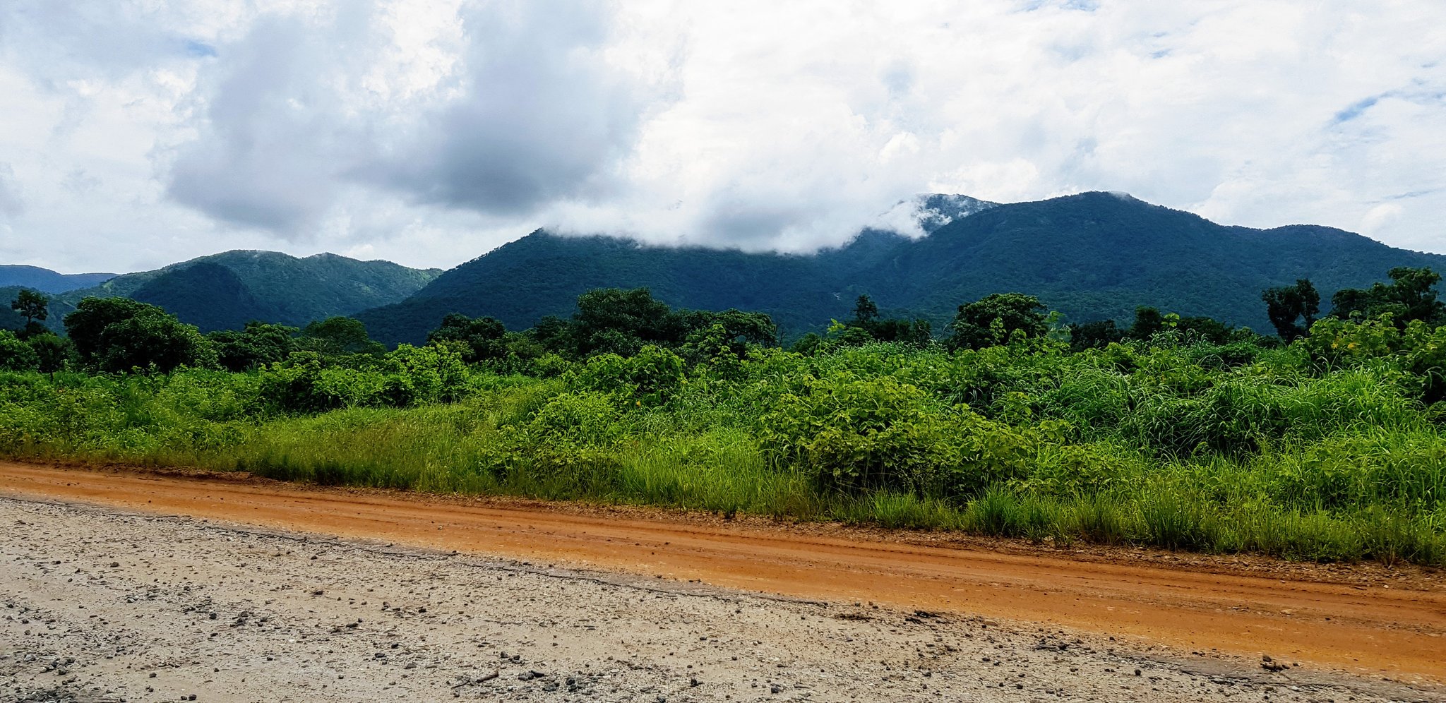 A Trip To The Beautiful Mambilla Plateau Of Taraba - Ou Travel & Tour