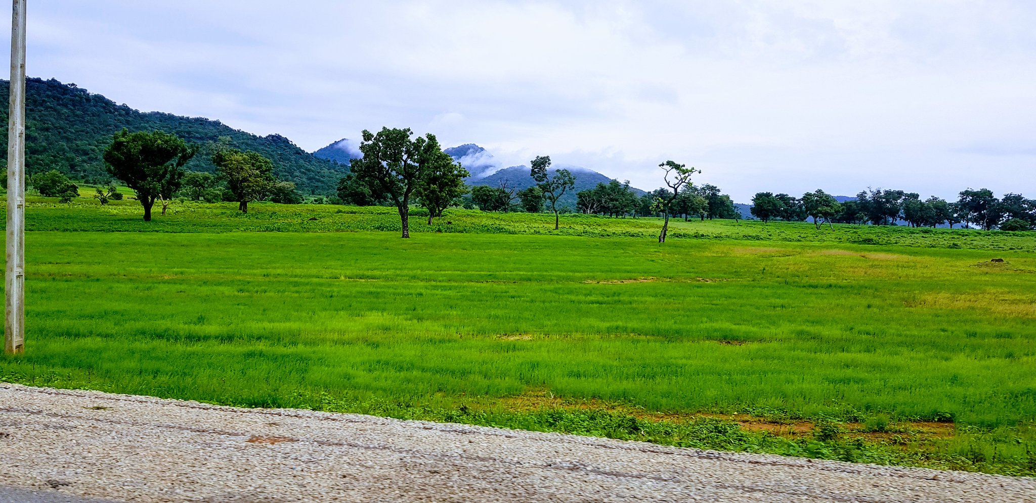 A Trip To The Beautiful Mambilla Plateau Of Taraba - Ou Travel & Tour