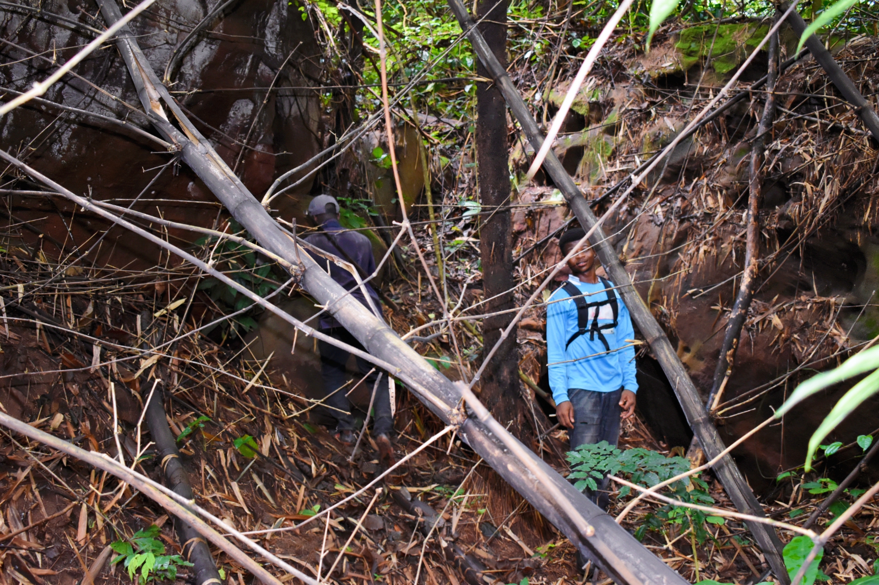 Down The Valley: Exploring Ogba Ngwu Forest - Ou Travel & Tour