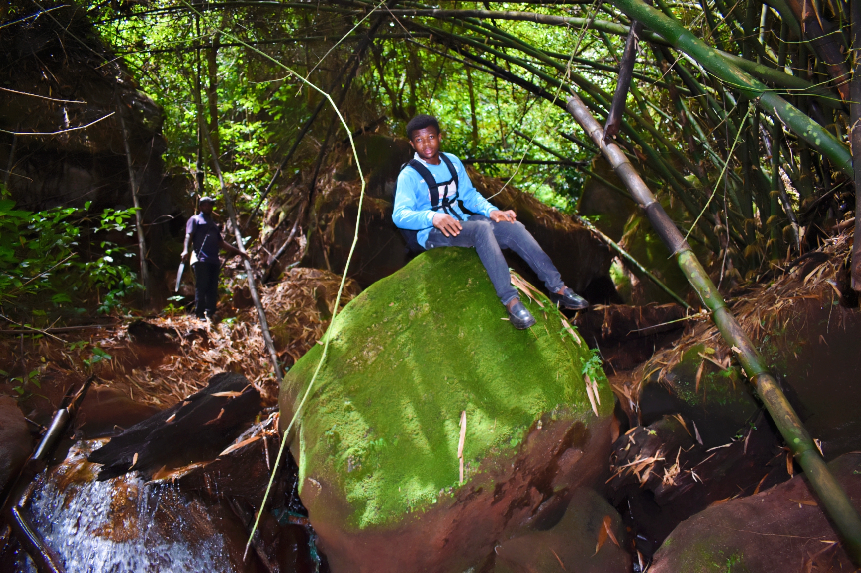 Down The Valley: Exploring Ogba Ngwu Forest - Ou Travel and Tour