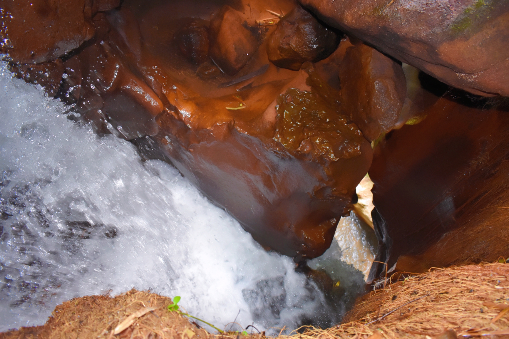 Down The Valley: Exploring Ogba Ngwu Forest - Ou Travel and Tour