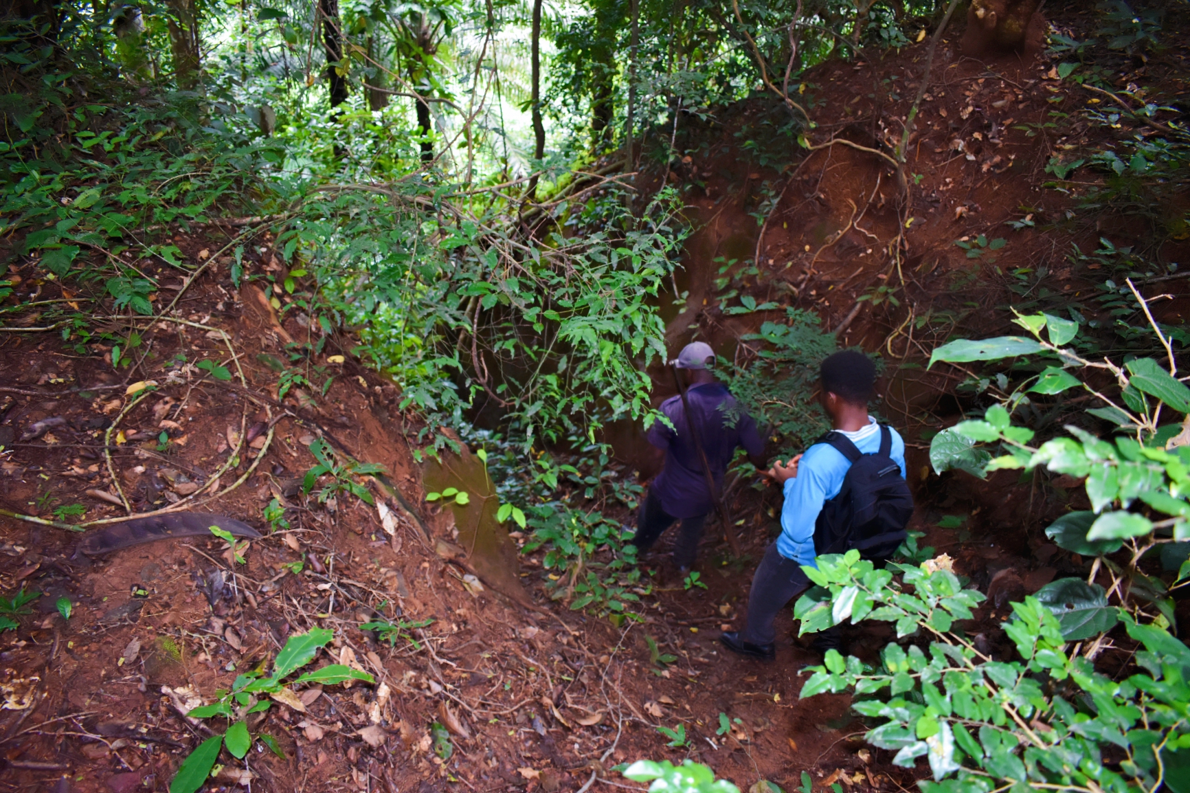 Down The Valley: Exploring Ogba Ngwu Forest - Ou Travel & Tour