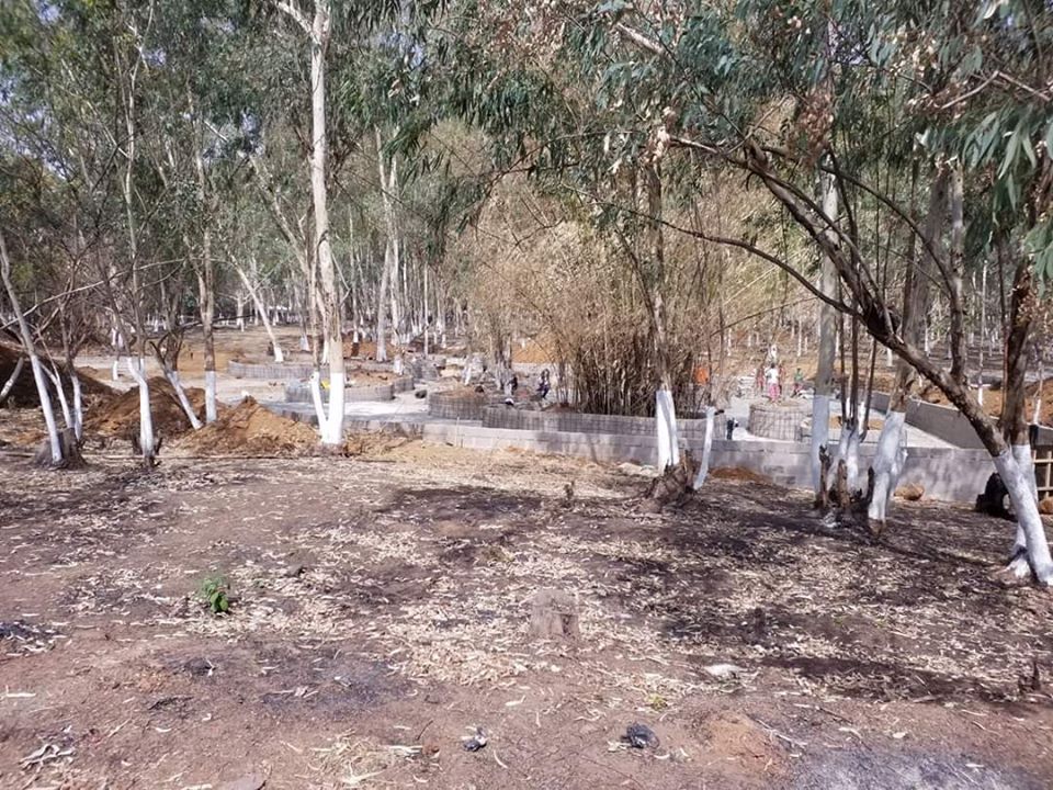 Facts about the ongoing construction work at Forest Reserve, Okpara ...