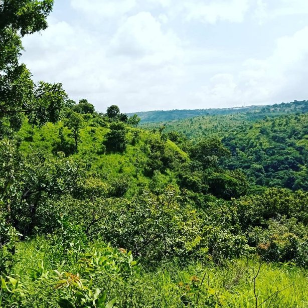 Top Most Ideal Places For Picnic in Enugu State - Our Travel & Tour