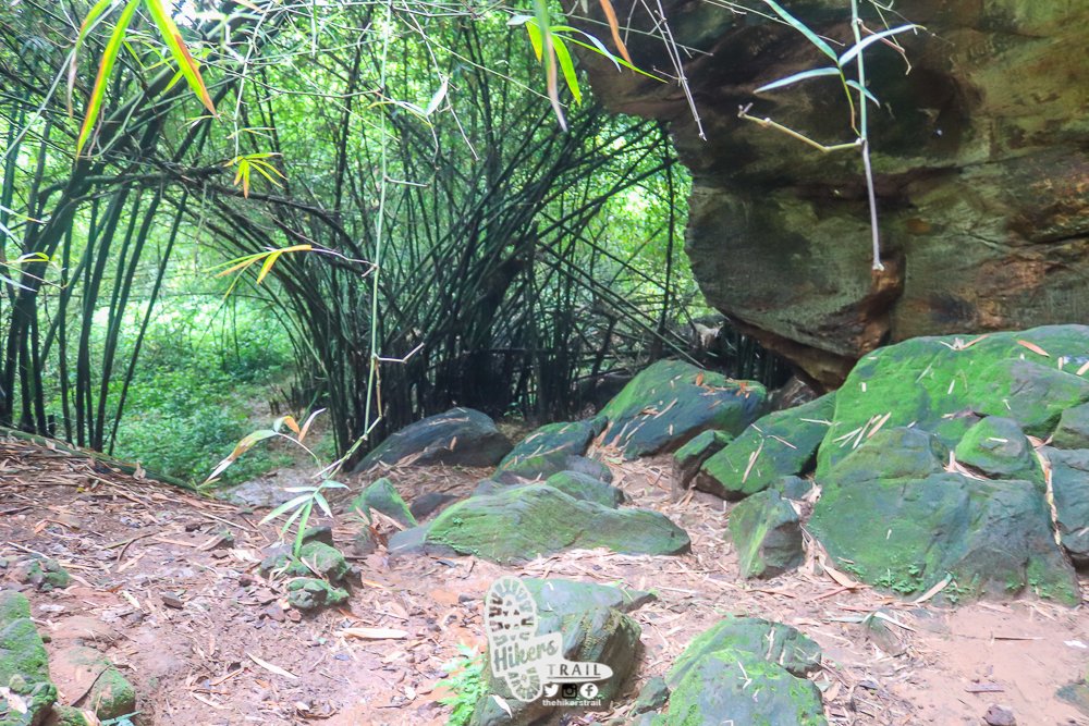 The Ogbunike caves . - Ou Travel and Tour