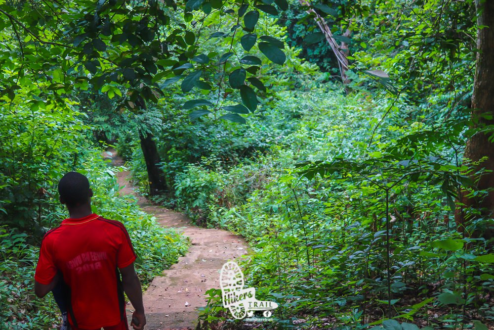 Ogbunike caves: Natural Wonders of the World - Ou Travel & Tour