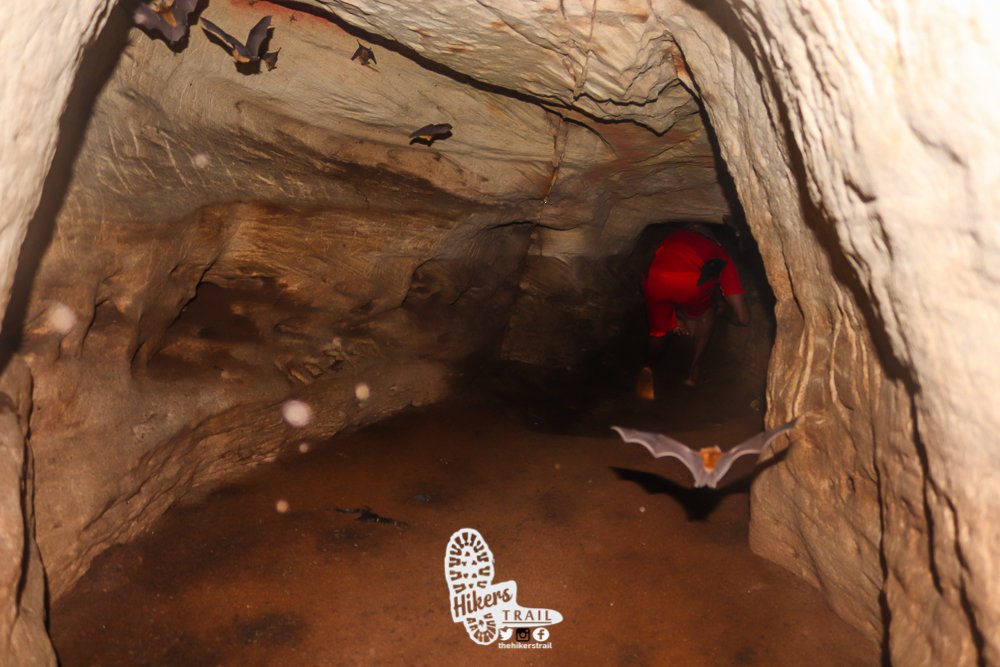 Ogbunike caves: Natural Wonders of the World - Ou Travel & Tour