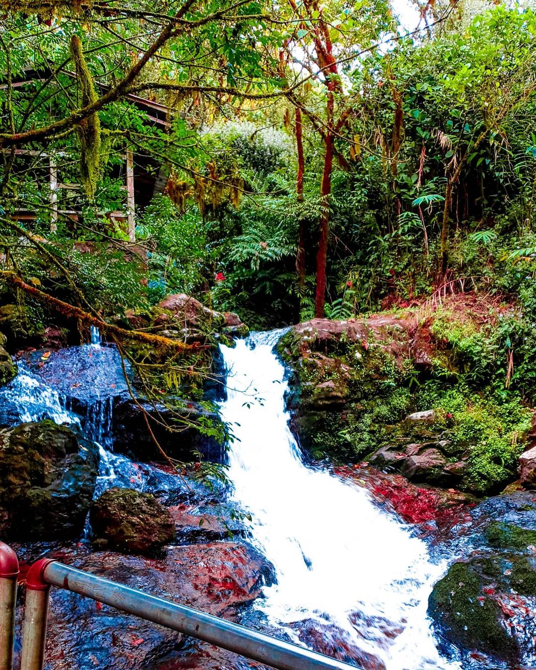 Trip to Obudu Mountain Resort - Ou Travel & Tour