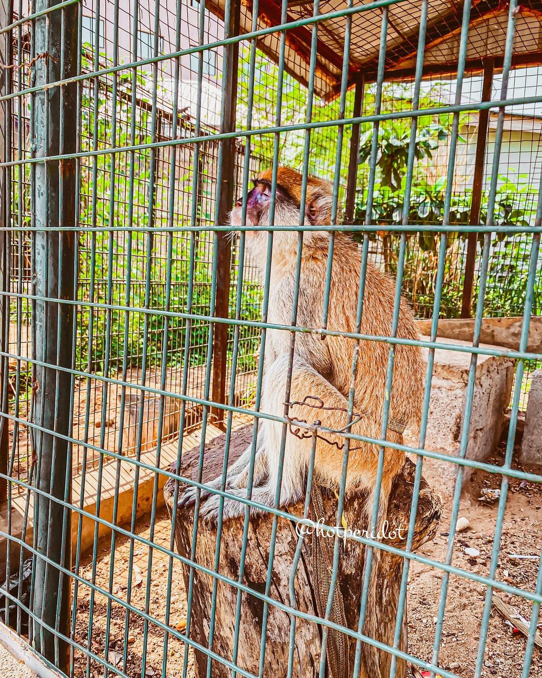 BMT African Garden Zoo, Abuja - Ou Travel & Tour