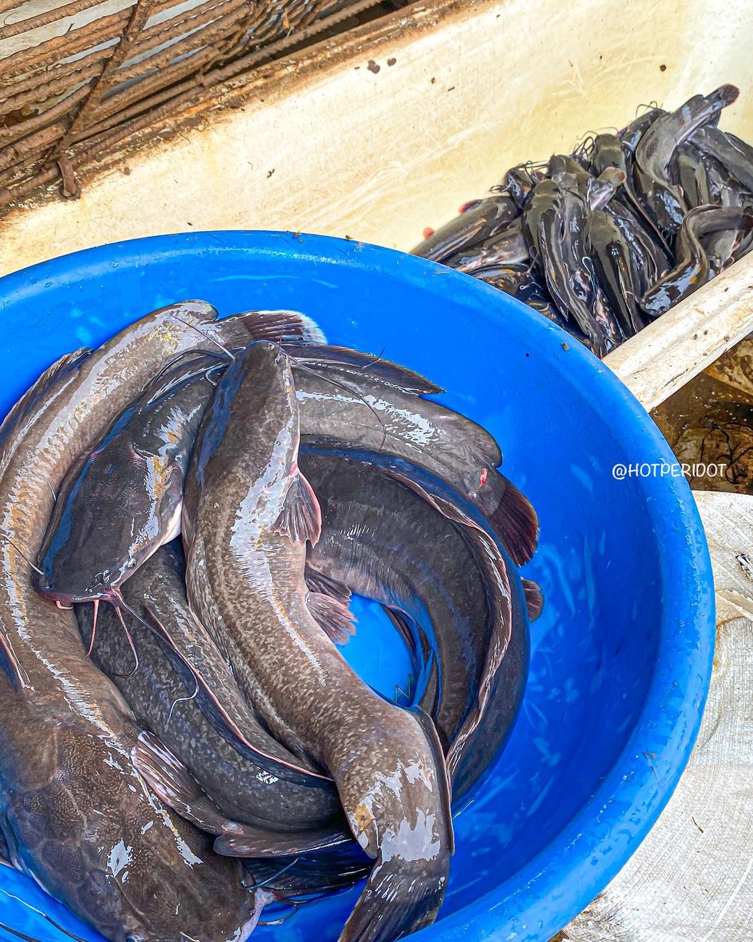 Kado Fish Market Abuja - Ou Travel & Tour