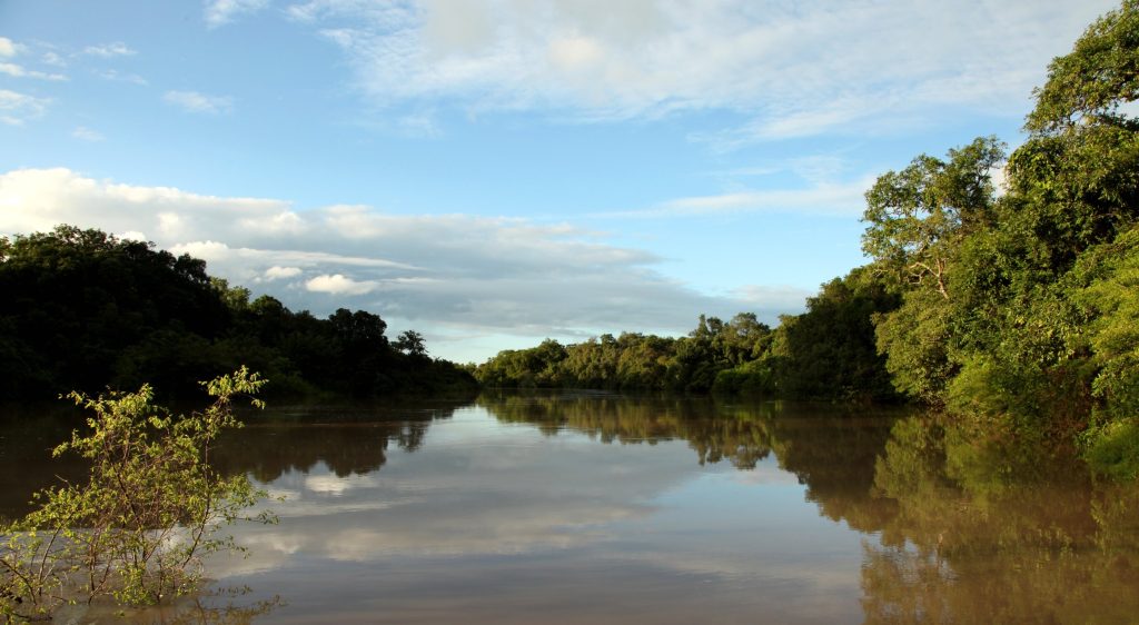 Wildlife Wonders: 10 Safaris and Nature Reserves in Nigeria - Our ...